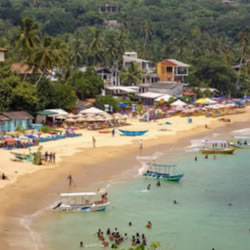 Integrated Development Consultants (IDC)