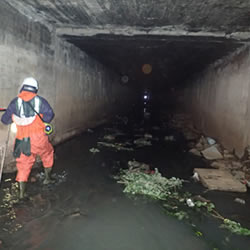 Integrated Development Consultants (IDC)